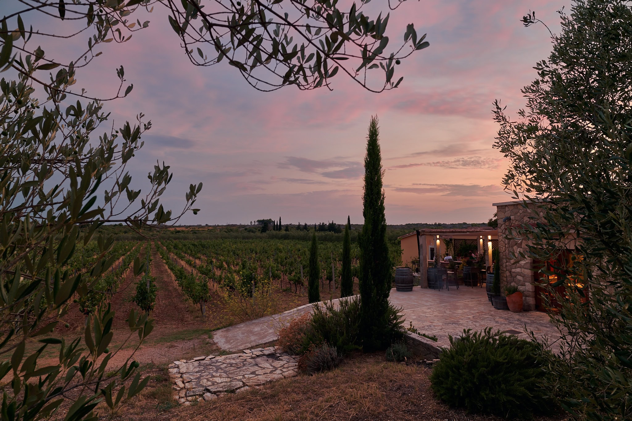 Visit our Tasting room and Estate – BARAKA Winery